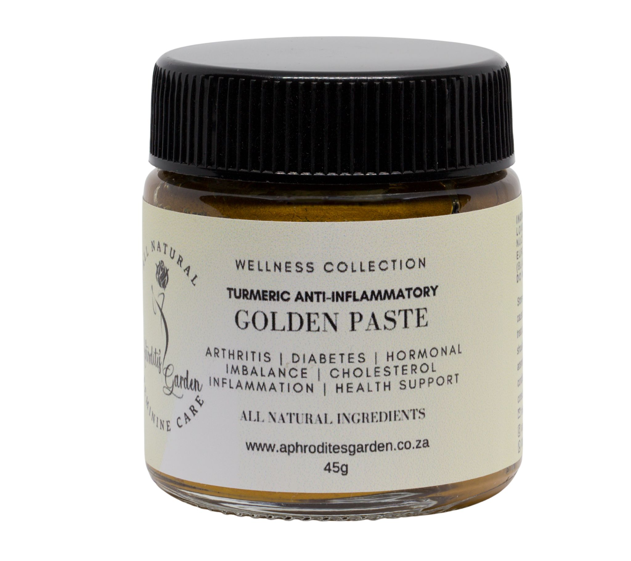 Golden Paste Turmeric Anti-inflammatory Health Support Paste ...